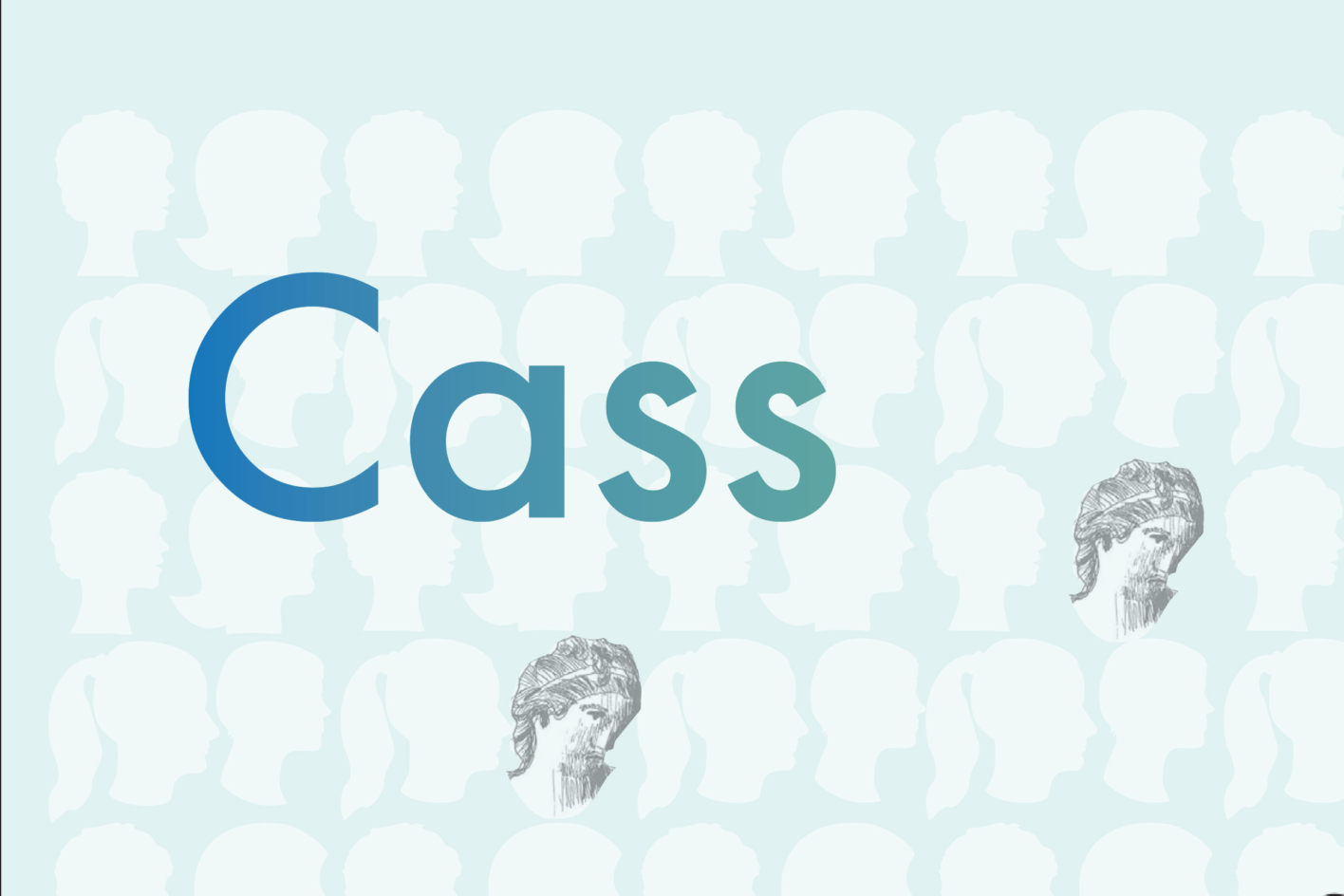 Cass | DSI / Social Design - School of Visual Arts