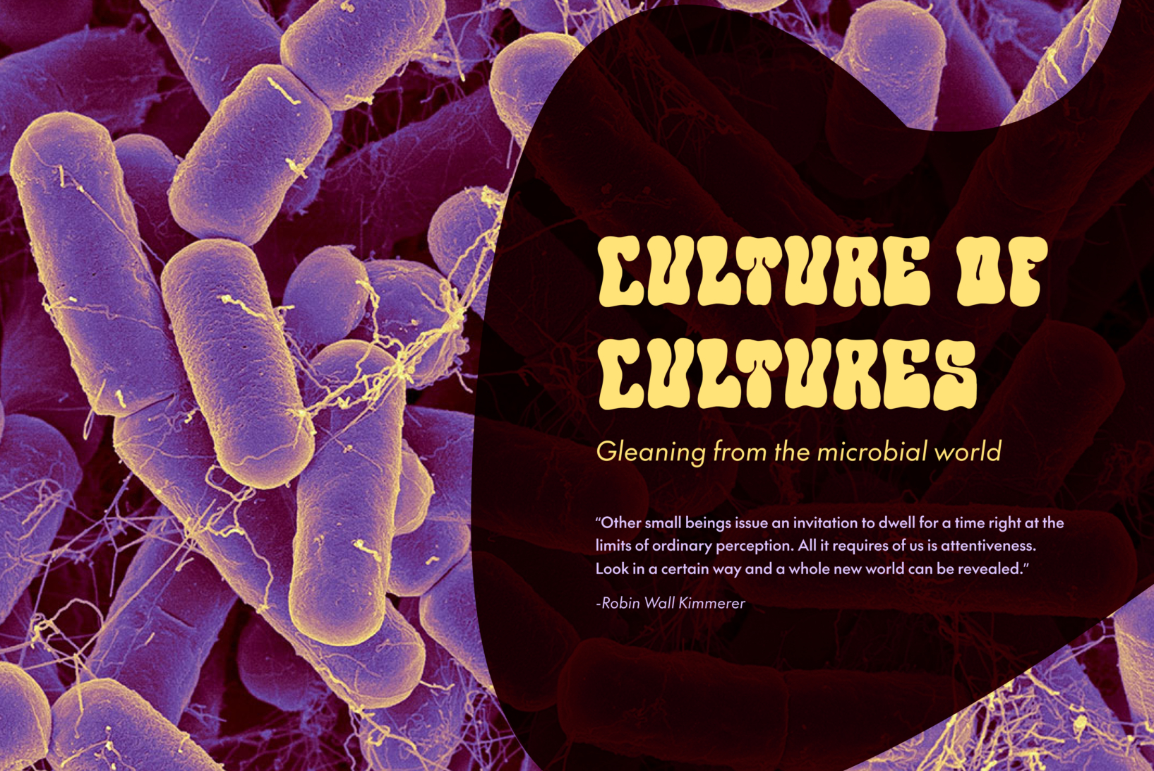 DSI / Social Design - School of Visual Arts | Homepage - Design for ...